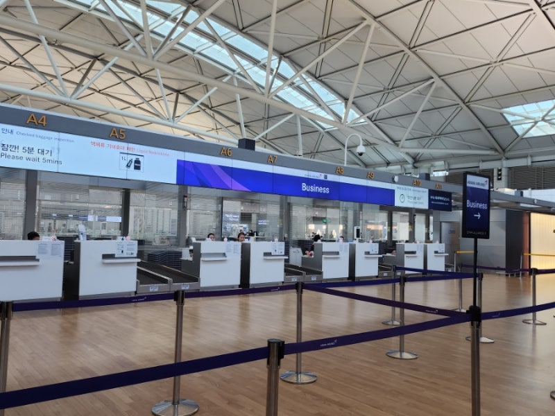 아시아나 비즈니스 OZ733 베트남 하노이 비즈타고 쑹 (A-350)/OZ730 아시아나우등고속타고온 후기/기내식과 라면맛집 ...