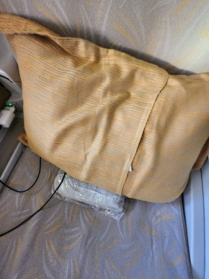 아시아나 비즈니스 OZ733 베트남 하노이 비즈타고 쑹 (A-350)/OZ730 아시아나우등고속타고온 후기/기내식과 라면맛집 ...