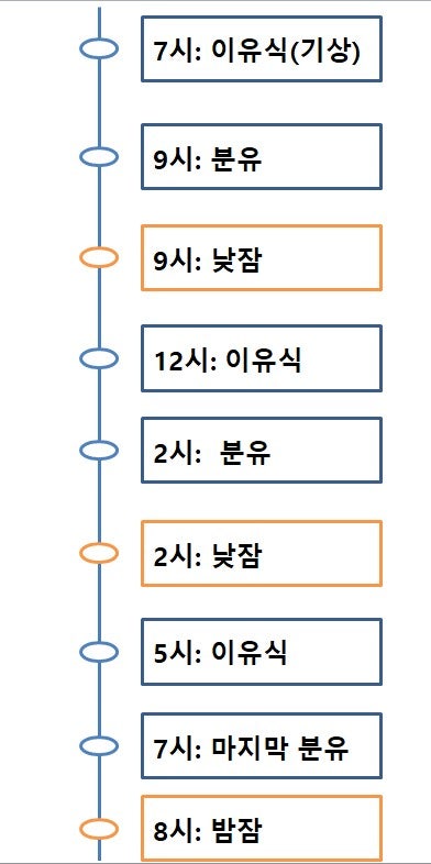 초기 중기 후기 이유식 스케줄 보충수유와 분리 수유 한끼 두끼 세끼 스케줄 종합 정리 네이버 블로그