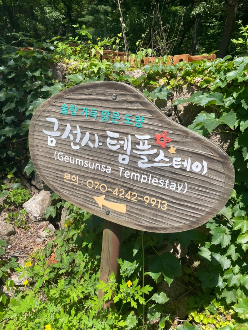 금선사 템플스테이 금-토 체험형 자애명상과 108염주 만들기 자세한 후기 : 네이버 블로그