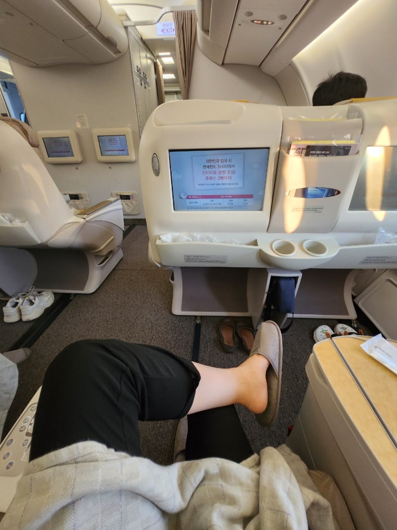 아시아나 비즈니스 OZ733 베트남 하노이 비즈타고 쑹 (A-350)/OZ730 아시아나우등고속타고온 후기/기내식과 라면맛집 ...