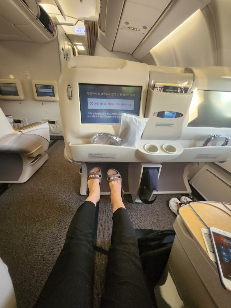 아시아나 비즈니스 OZ733 베트남 하노이 비즈타고 쑹 (A-350)/OZ730 아시아나우등고속타고온 후기/기내식과 라면맛집 ...