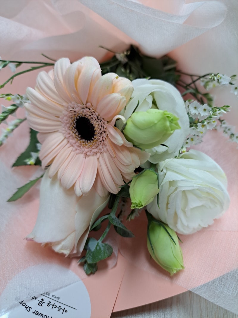 MDPI와 Frontiers 계열은 인정 실적에서 제외 : 네이버 블로그