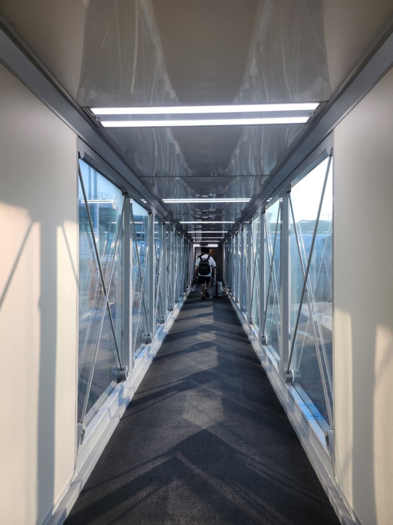 아시아나 비즈니스 OZ733 베트남 하노이 비즈타고 쑹 (A-350)/OZ730 아시아나우등고속타고온 후기/기내식과 라면맛집 ...