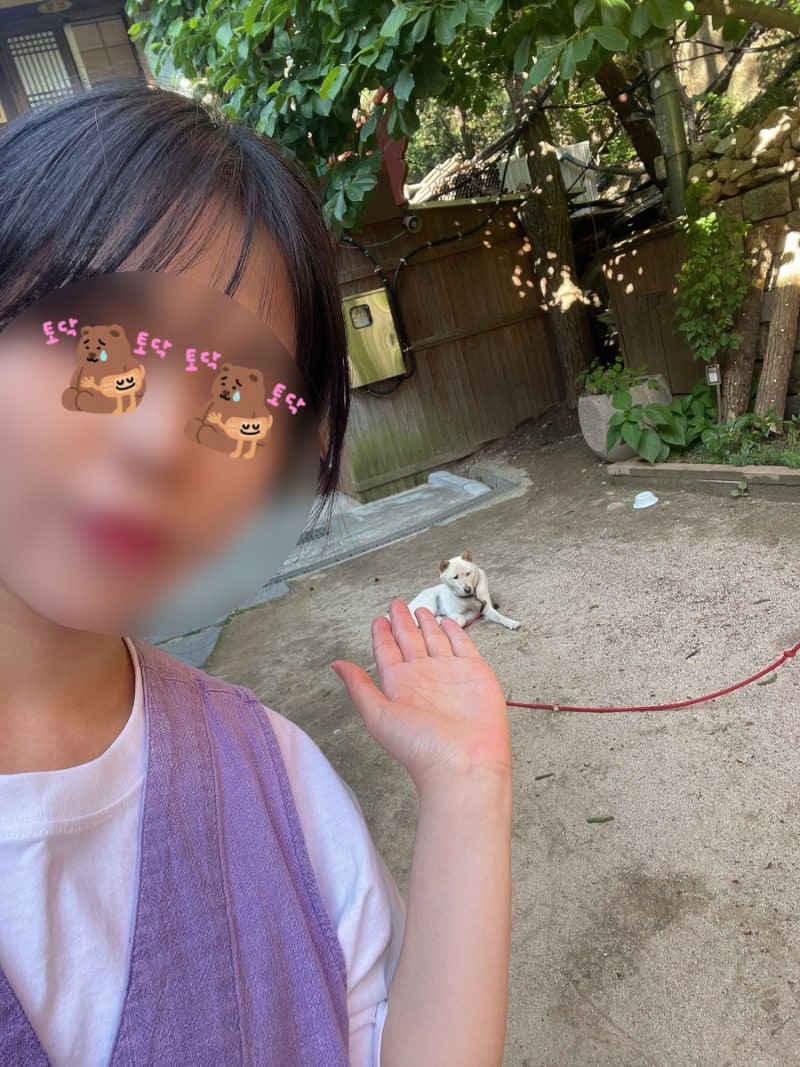 금선사 템플스테이 금-토 체험형 자애명상과 108염주 만들기 자세한 후기 : 네이버 블로그