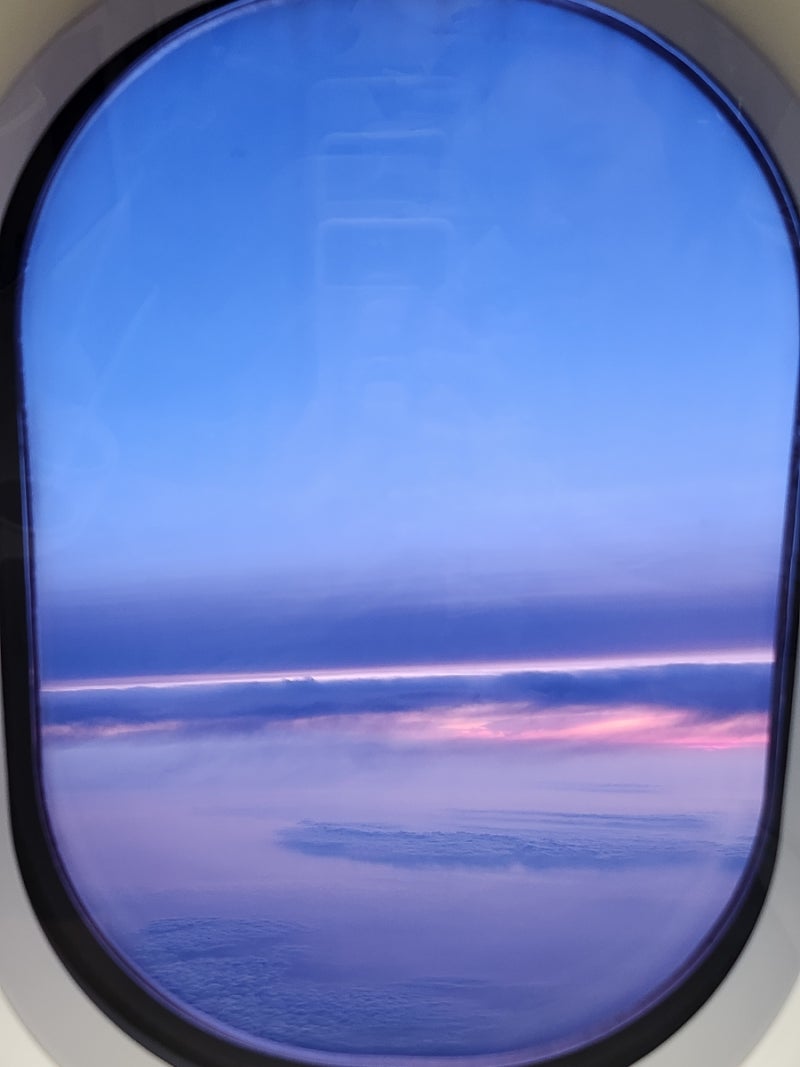 아시아나 비즈니스 OZ733 베트남 하노이 비즈타고 쑹 (A-350)/OZ730 아시아나우등고속타고온 후기/기내식과 라면맛집 ...