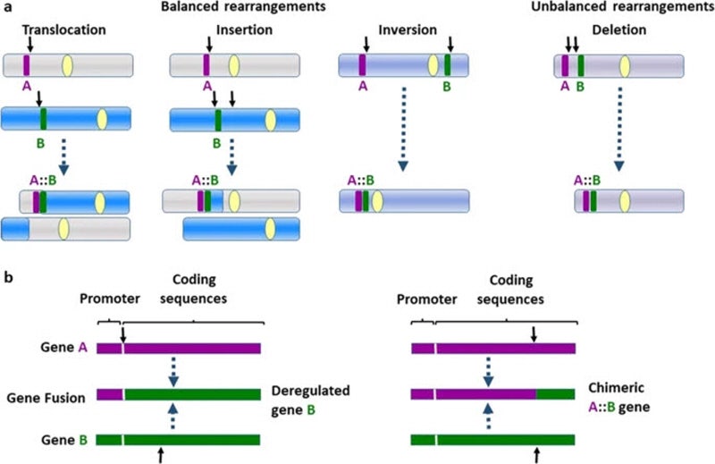 유전자융합(gene fusion) 지정을 위한 HUGO 유전자명명법위원회(HGNC) 권고사항 : 네이버 블로그