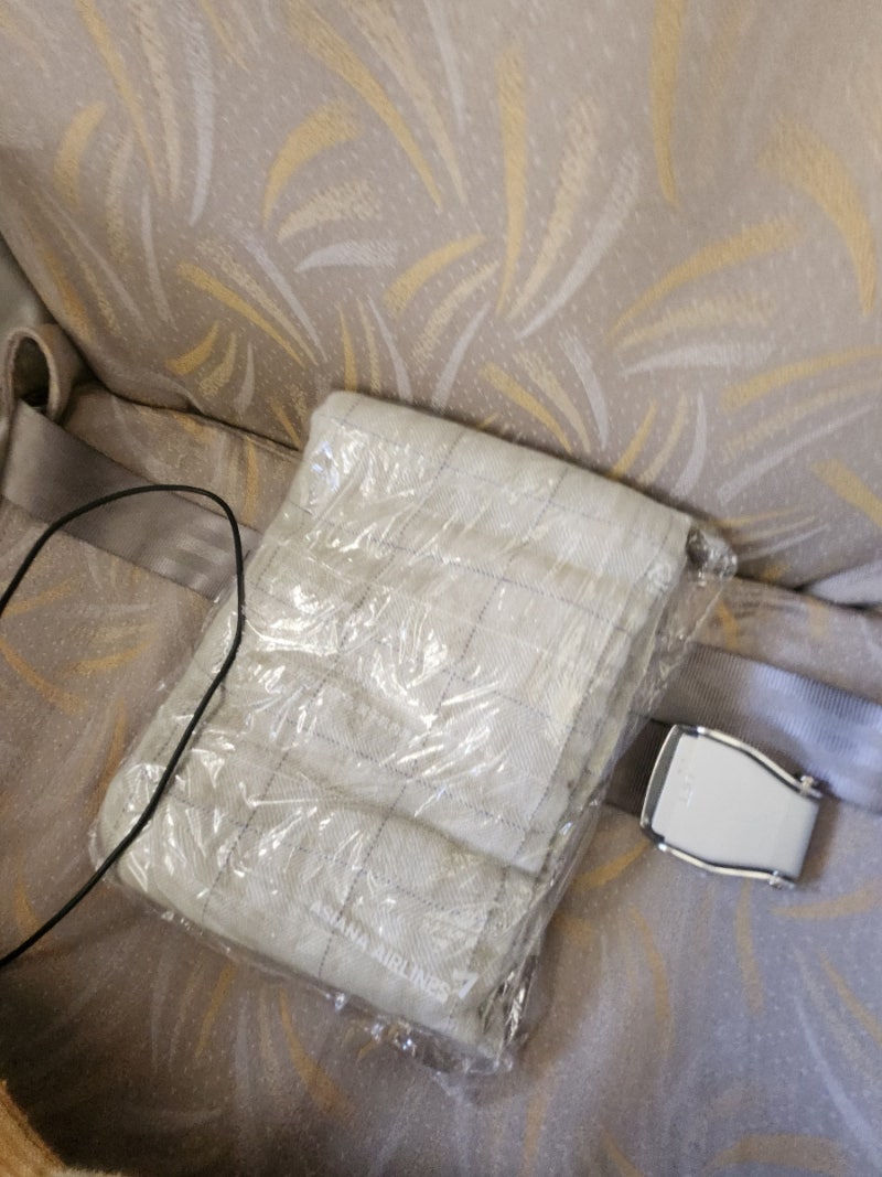 아시아나 비즈니스 OZ733 베트남 하노이 비즈타고 쑹 (A-350)/OZ730 아시아나우등고속타고온 후기/기내식과 라면맛집 ...