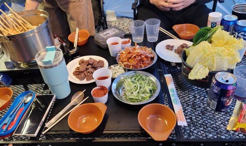 충주 목계솔밭캠핑장 예약 방법 명당 넓고 쾌적한 캠핑장 방문 후기 네이버 블로그