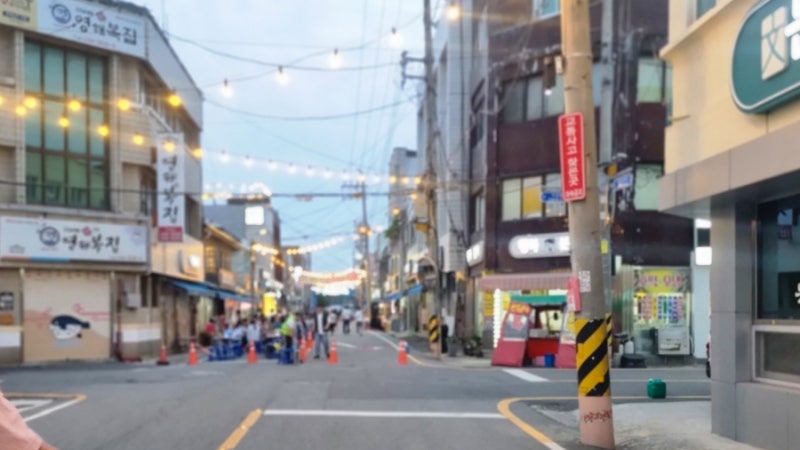 목포 건맥 여름 축제 맥주 무한리필 토야호 기본정보ft목포 건어물 네이버 블로그