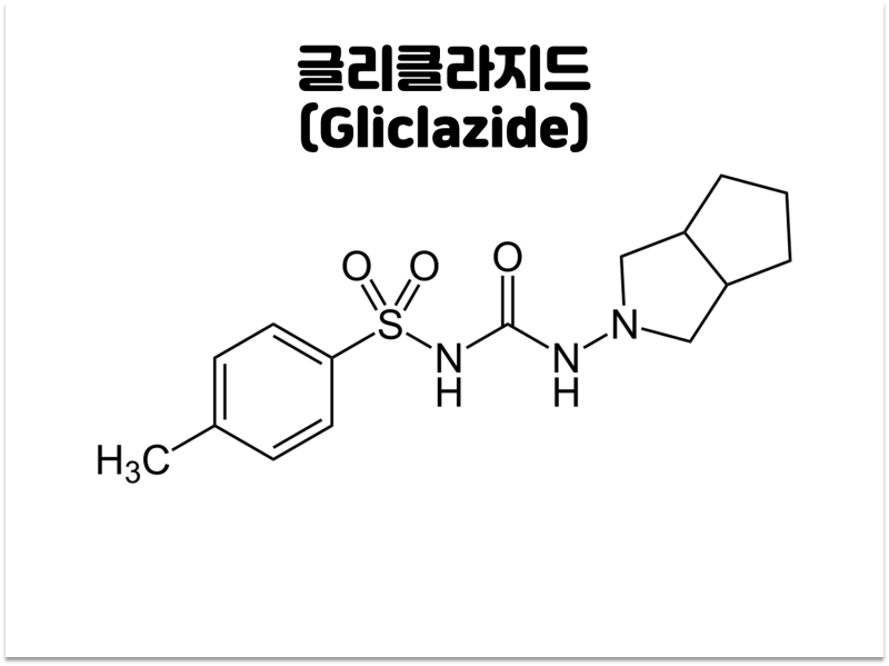 디아미크롱서방정 디아미크롱 서방정 제2형 당뇨병 치료제 당뇨약 30mg 60mg 약 효능 효과 성분 부작용 복용법 네이버 블로그