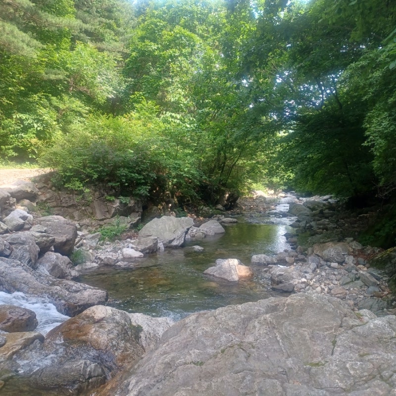 가평 경반계곡 경반분교 수락폭포 트래킹 차박 캠핑까지 한번에 네이버 블로그
