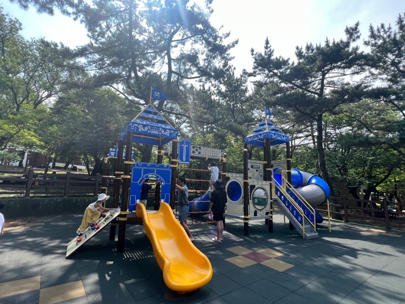 제주 절물자연휴양림 아이와 가볼만한곳 제주도 숲길 네이버 블로그