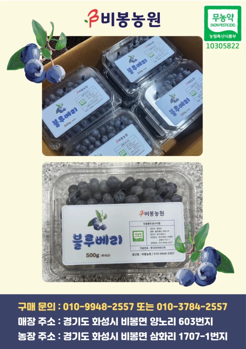 2023년 비봉농원 블루베리 판매가격 대과 30000원 중과 25000원 소과 20000원화성시 블루베리 따기 체험