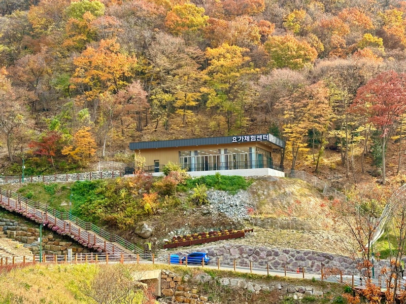 경남 밀양 캠핑장 추천 풍경 좋은 밀양 도래재 자연휴양림 네이버 블로그