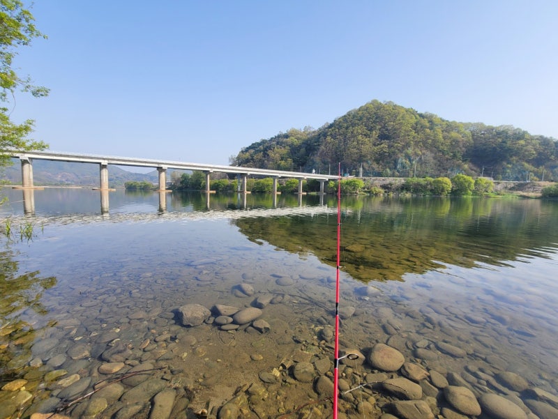 충주 목계솔밭캠핑장 예약 방법 명당 넓고 쾌적한 캠핑장 방문 후기 네이버 블로그