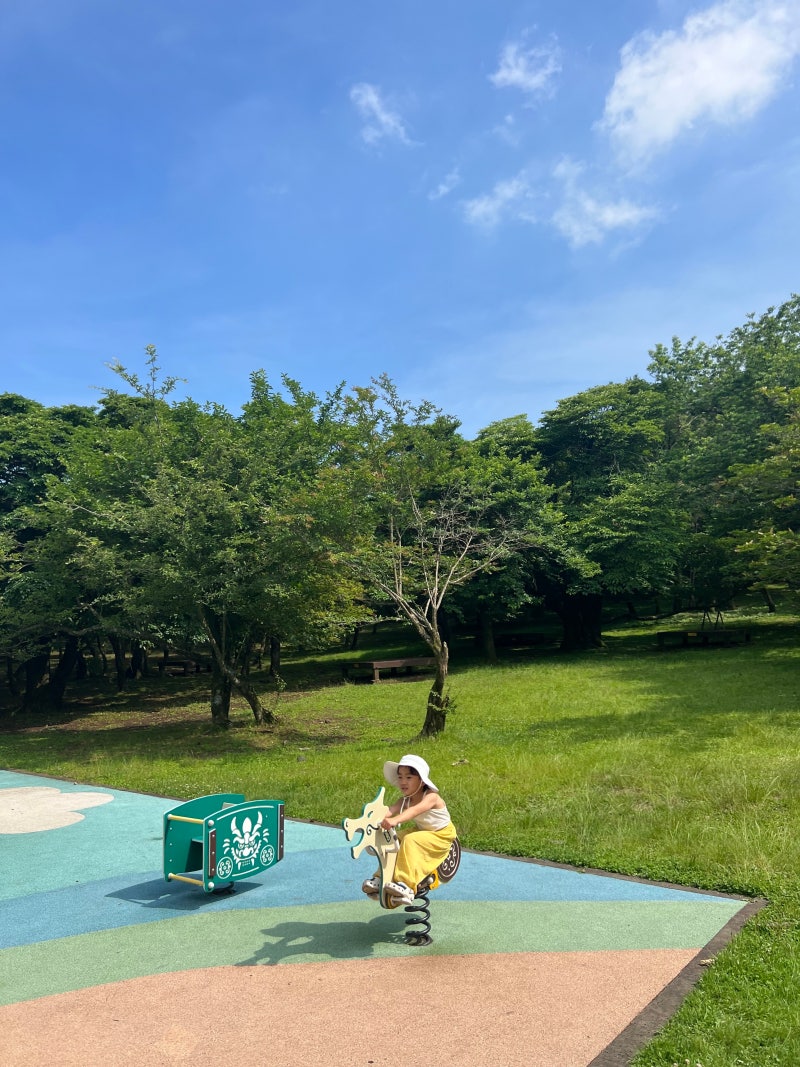 제주 절물자연휴양림 아이와 가볼만한곳 제주도 숲길 네이버 블로그