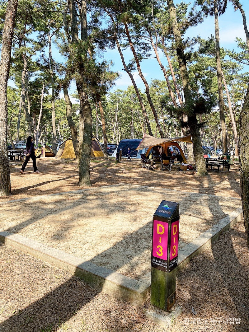 충청남도태안 몽산포 자동차 야영장 오토 국립 캠핑장 배치도아이와 함께 가볼 만한 곳 네이버 블로그