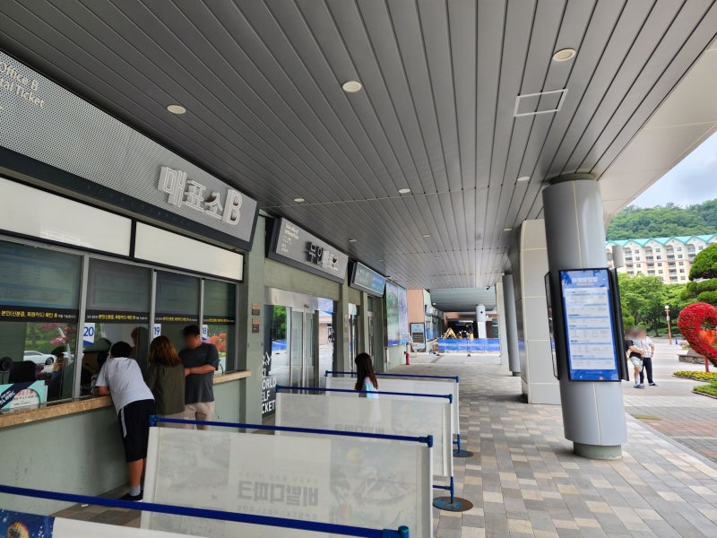 홍천 비발디파크 관광곤돌라하늘양떼목장카페가격 솔직후기 네이버 블로그