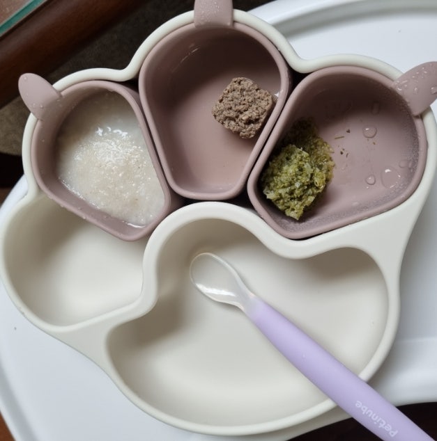 초기이유식 식단표 6개월 큐브 이유식 방법 네이버 블로그