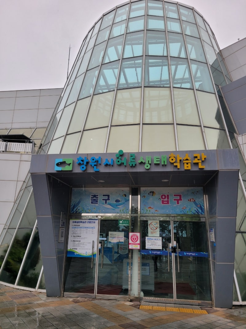 비오는 날 창원시 어류생태학습관 물고기잡기와 터치풀 닥터피쉬체험 진해해양공원 진해 실내 아이랑 가볼만한곳 경남 아이랑가볼만한곳