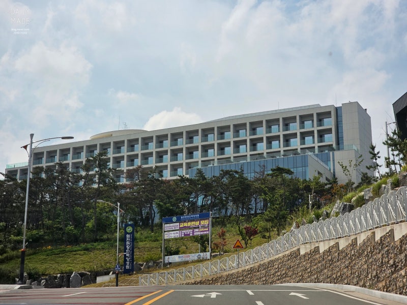 경주 호텔 오션뷰 숙소 베스트웨스턴플러스 경주 스탠다드 더블 오션뷰 요금추가~ 네이버 블로그