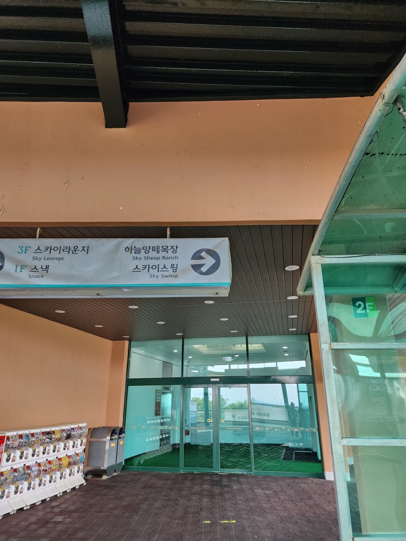 홍천 비발디파크 관광곤돌라하늘양떼목장카페가격 솔직후기 네이버 블로그