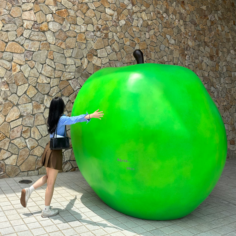 원주 뮤지엄산 전시 안도타다오 청춘 제임스터렐관 후기 기본권 통합권 입장료 예매 예약 가격 셔틀버스 전시회데이트 추천