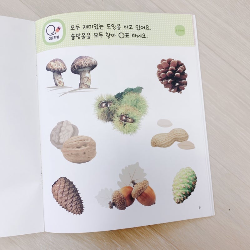 자연관찰책 추천 언제부터 언제까지 블루래빗 유아전집 네이버 블로그