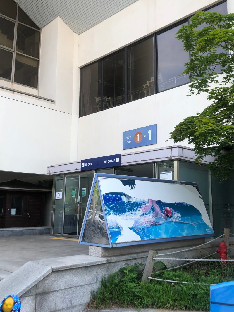 서울 50m 수영장 :: 올림픽수영장 주말 자유수영 후기 : 네이버 블로그