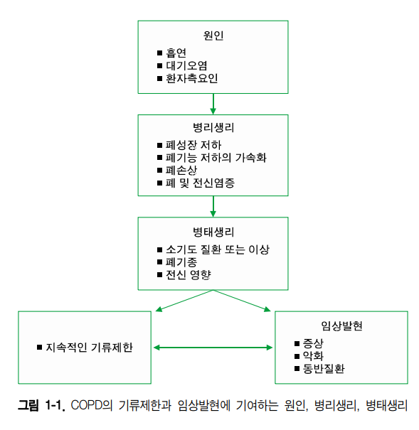 만성폐쇄성폐질환 정의 역학 원인 기전(COPD 진료지침 2018 개정) : 네이버 블로그