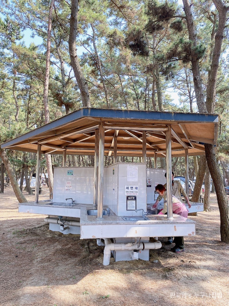 충청남도태안 몽산포 자동차 야영장 오토 국립 캠핑장 배치도아이와 함께 가볼 만한 곳 네이버 블로그