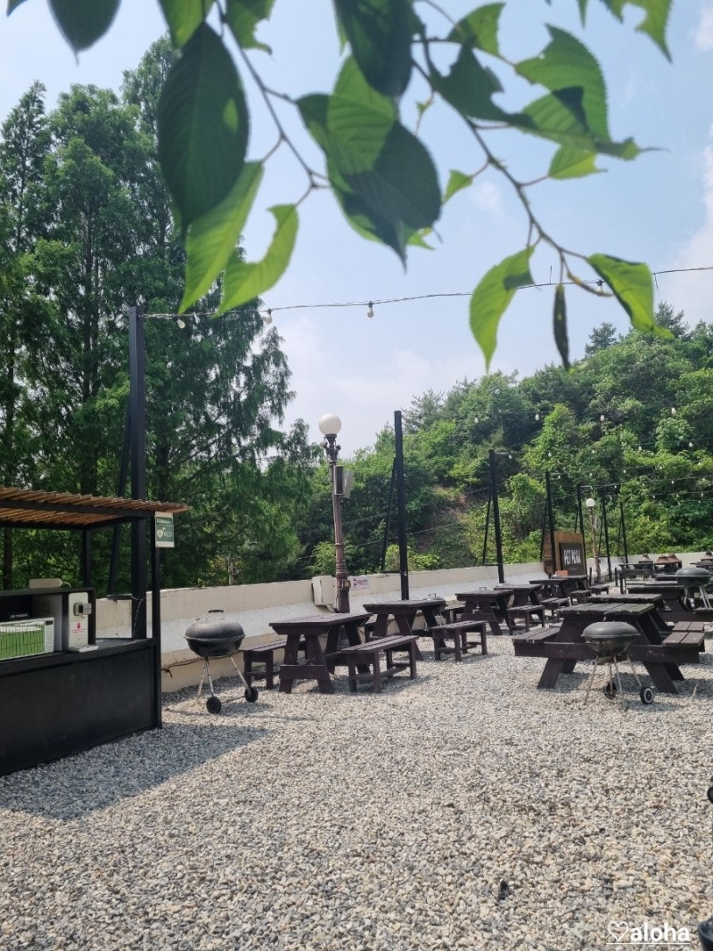 프라이빗 프리미어 펫 켄싱턴 리조트 충주 여행 네이버 블로그