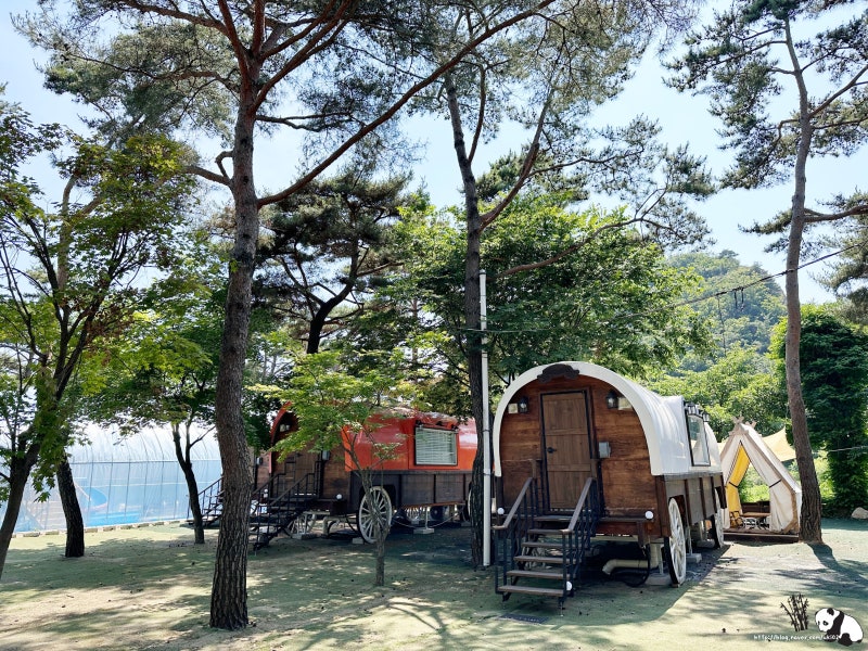 포천 글램핑 추천 이색적인 웨스턴 마차 카라반이 있는 파인트리글램핑 네이버 블로그