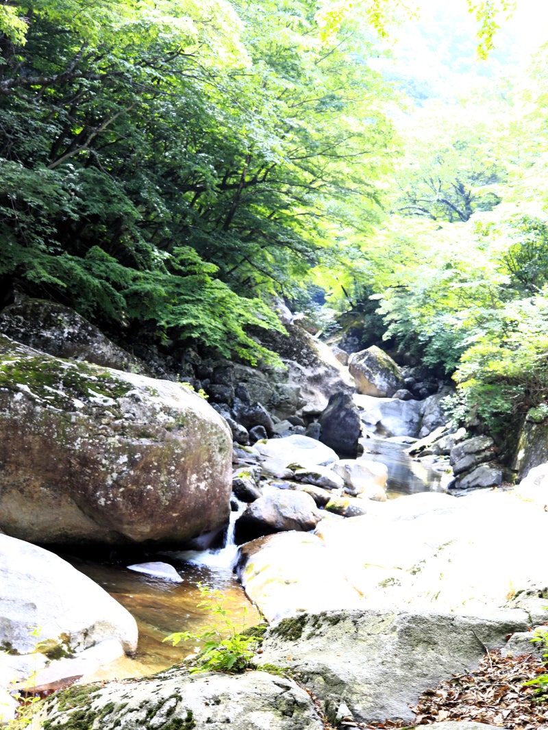 [지리산국립공원] 지리산 칠선계곡 탐방 이야기를 담다 (예약 및 등산코스) : 네이버 블로그
