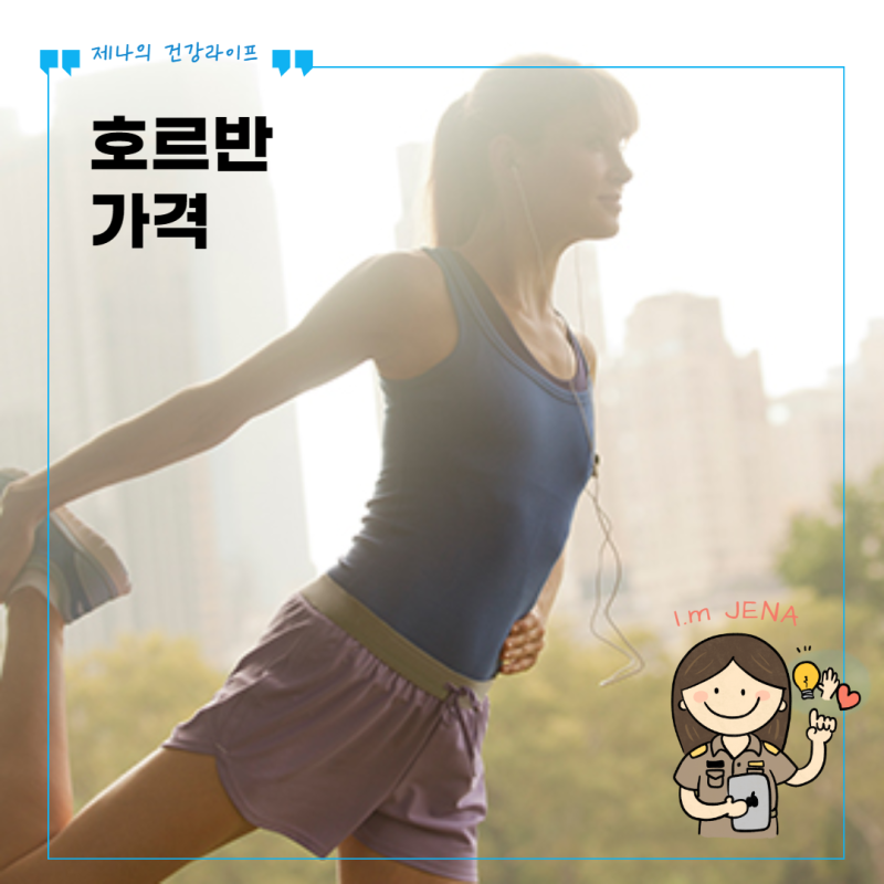 호르반 가격 효능 부작용 정리약국 자양강장제 네이버 블로그