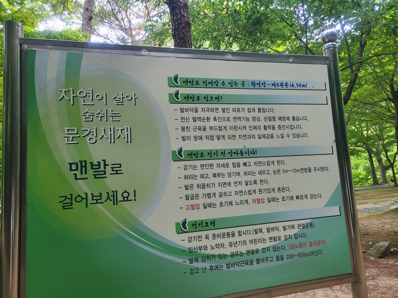 경상북도 문경여행 문경새재도립공원 내 걷기좋은길 문경숲길 추천 2박3일 4만보 이상 걸은 경상도 여름 휴가지 내돈내산