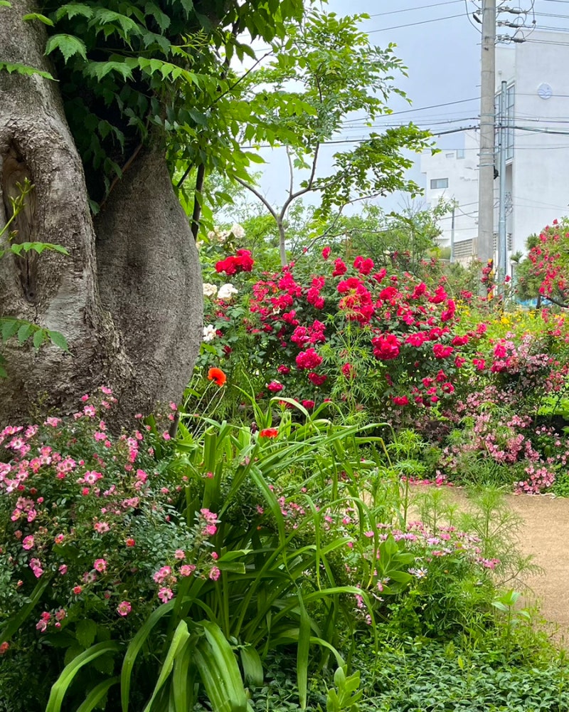 포항 오션뷰 카페 포토피아 | 포토존이 많은 포항 대형카페 🕶️ : 네이버 블로그