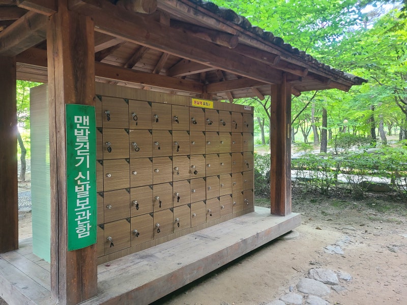 경상북도 문경여행 문경새재도립공원 내 걷기좋은길 문경숲길 추천 2박3일 4만보 이상 걸은 경상도 여름 휴가지 내돈내산