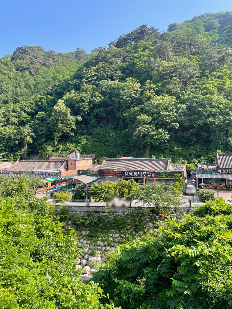 강원도 양양 설악산 오색약수터 주전골 트래킹 산책 코스 And 계곡 놀다온 후기 Ft1박2일 효도여행 네이버 블로그