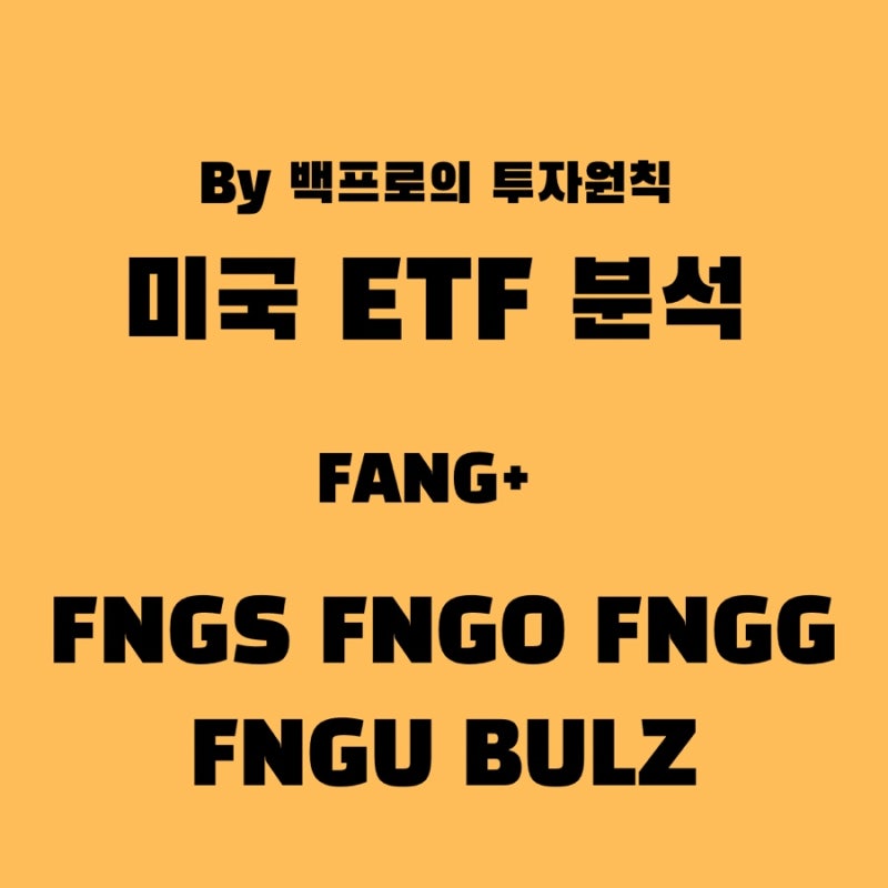 013. 미국 ETF 분석 - FANG+관련 - FNGS FNGO FNGG FNGU BULZ 비교 및 추천 : 네이버 블로그