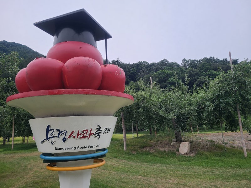 경상북도 문경여행 문경새재도립공원 내 걷기좋은길 문경숲길 추천 2박3일 4만보 이상 걸은 경상도 여름 휴가지 내돈내산