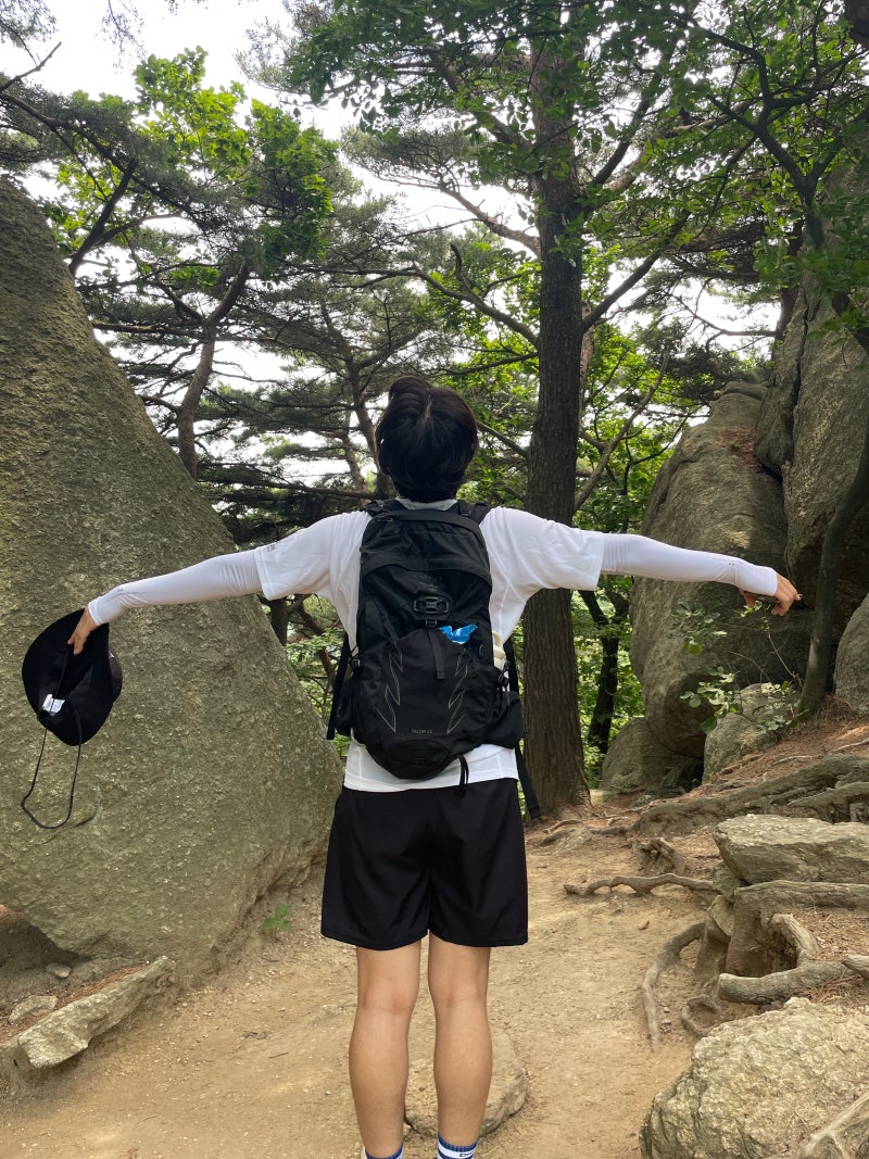 청계산 등산코스 청계산입구역 주차장 매봉 정상 등산시간 네이버 블로그