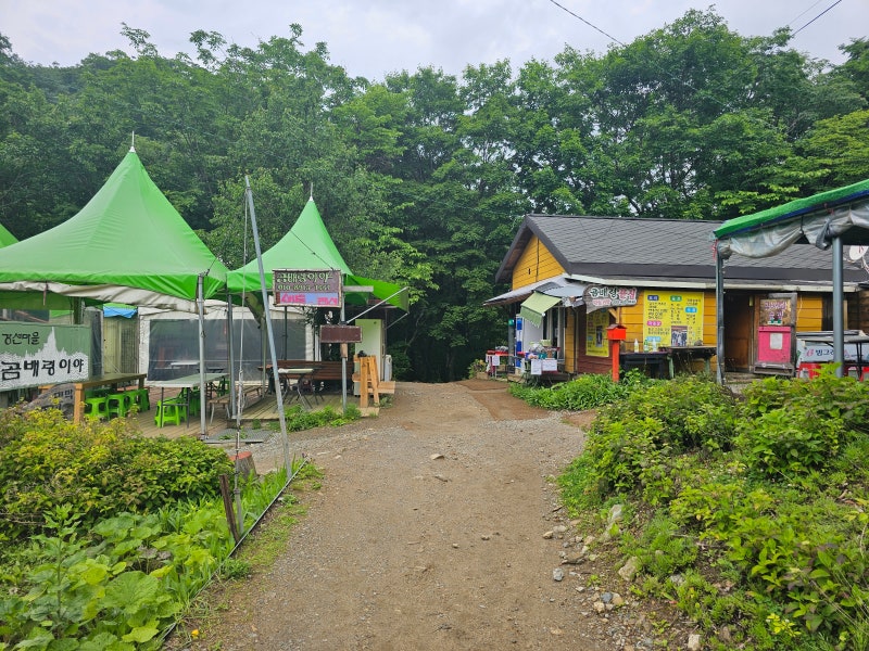 천상의 화원 인제 곰배령 점봉산 산림생태탐방 예약 및 등산 코스 네이버 블로그