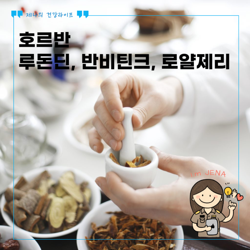 호르반 가격 효능 부작용 정리약국 자양강장제 네이버 블로그