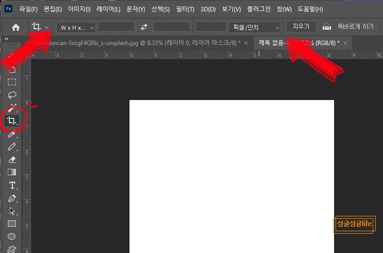 포토샵 사진 자르기 활용해 여권 사진과 미국 비자 사진 규격 사이즈에 맞추기 네이버 블로그