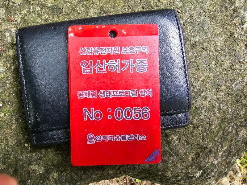 천상의 화원 인제 곰배령 점봉산 산림생태탐방 예약 및 등산 코스 네이버 블로그
