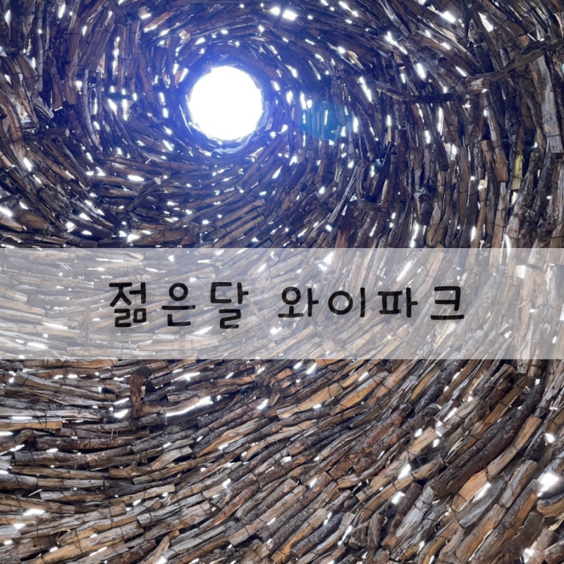 젊은달 와이파크 입장료 할인 및 상세후기 영월여행 필수코스 네이버 블로그