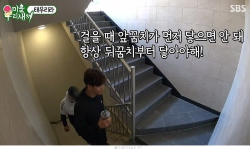계단오르기 효과 여자 뱃살 빼는 법 아파트 계단 운동방법 칼로리 스텝밀 스텝퍼 실내 유산소 운동 기구 추천 네이버 블로그