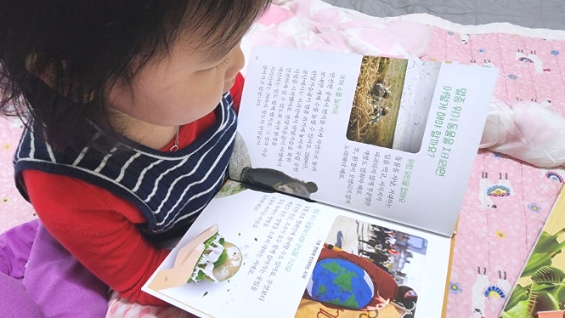 생각의 꼬리를 이어가는 블루래빗키즈 디스커버리 첫 지식백과 네이버 블로그